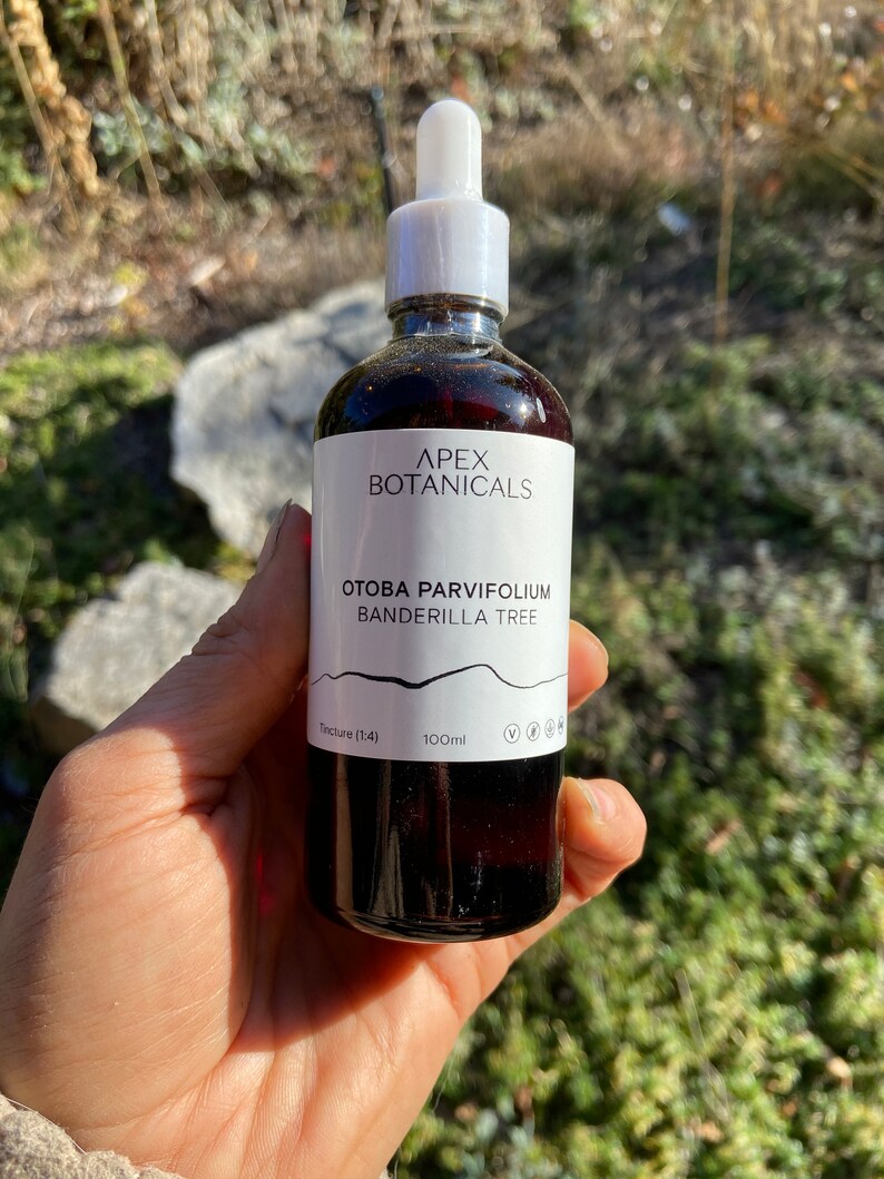 Otoba Bark Tincture, Banderol Tincture | Buhner Herbs, Buhner Protocol ...