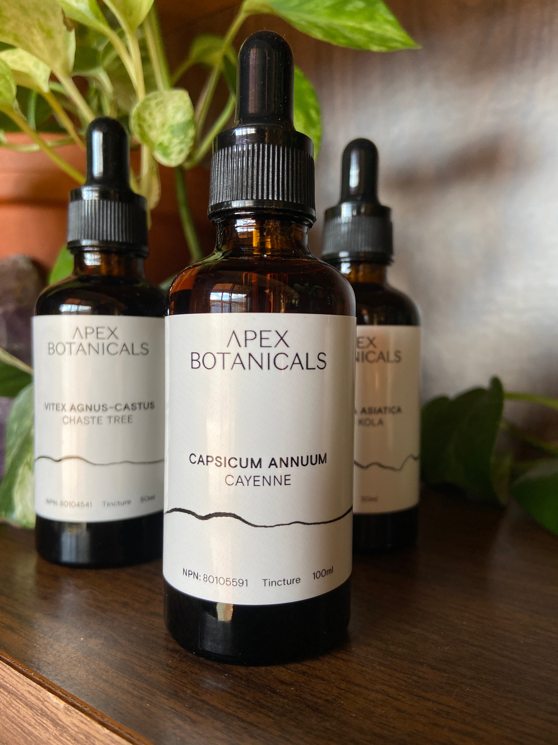 Cayenne Tincture | Capsicum Annuum - Etsy