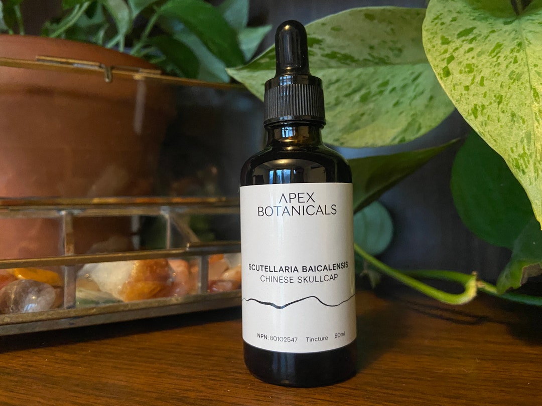 Scutellaria Baicalensis | Chinese Skullcap Tincture | TCM Herbs - Etsy