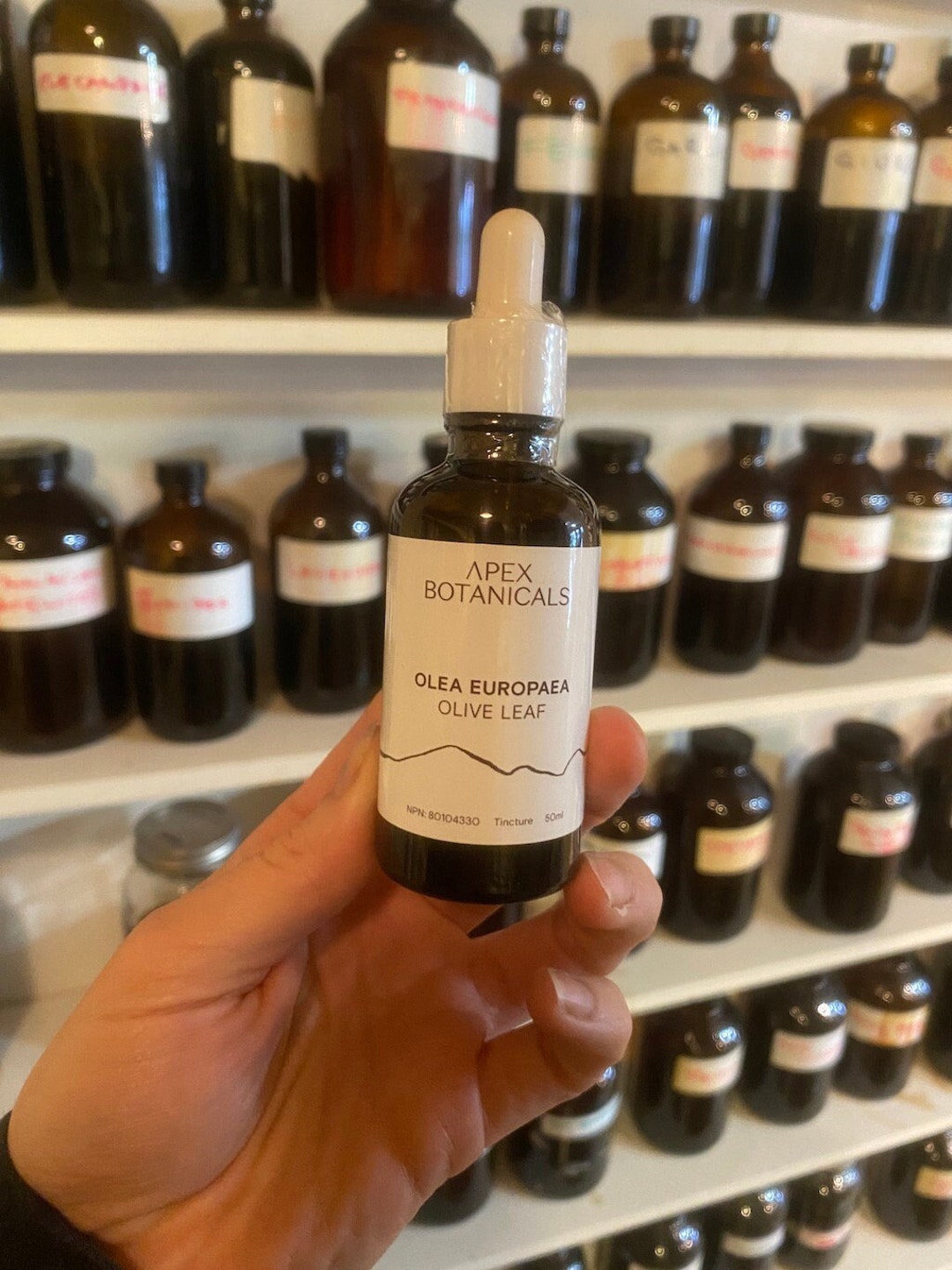 Olive Leaf Tincture, Olive Leaf Extract, Olive Leaf Powder, Olea ...