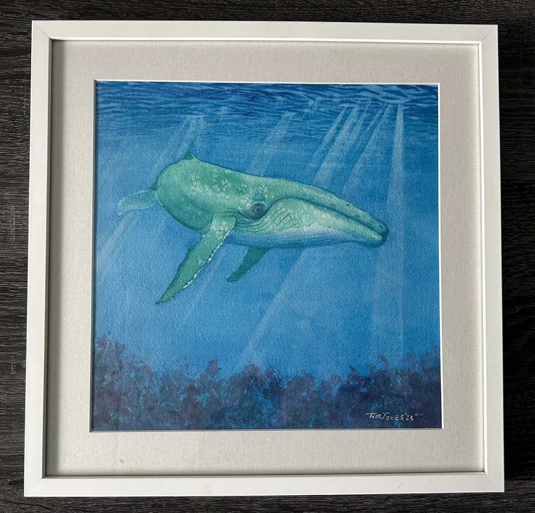 Framed Humpback Whale Watercolor Painting - Original Art by Tim Jones ...