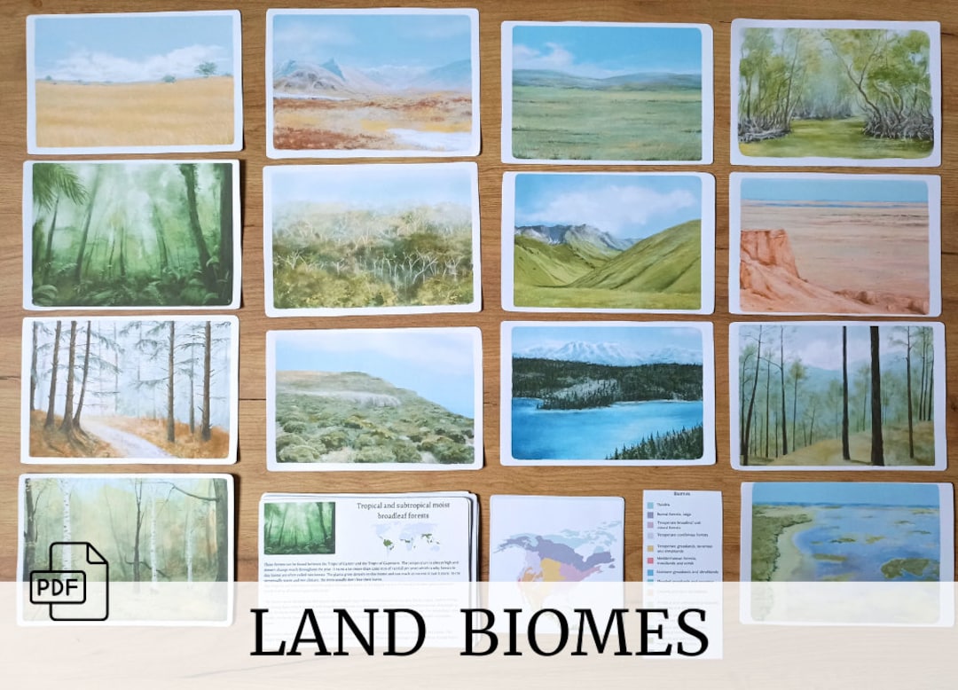 Land Biomes Posters & Activities - Printable Science Unit - Etsy