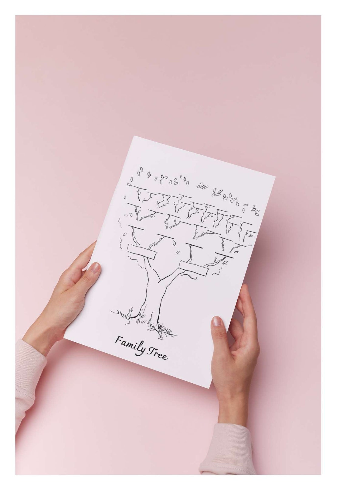 Family Tree Templates and Vocabulary - Etsy