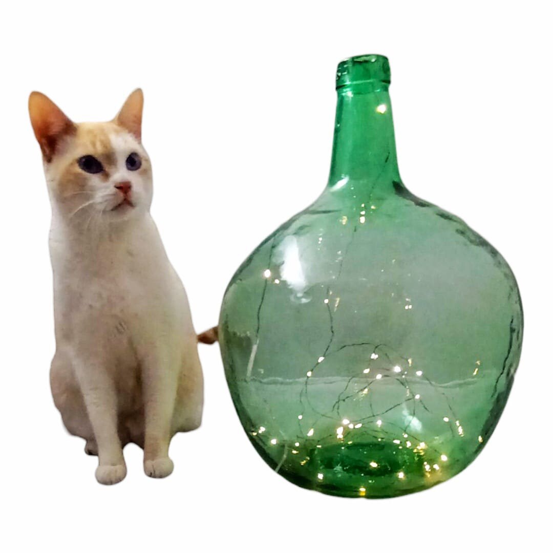 Vintage Spanish Demijohn by Viresa – 20L Hand-blown Green Glass Bottle ...