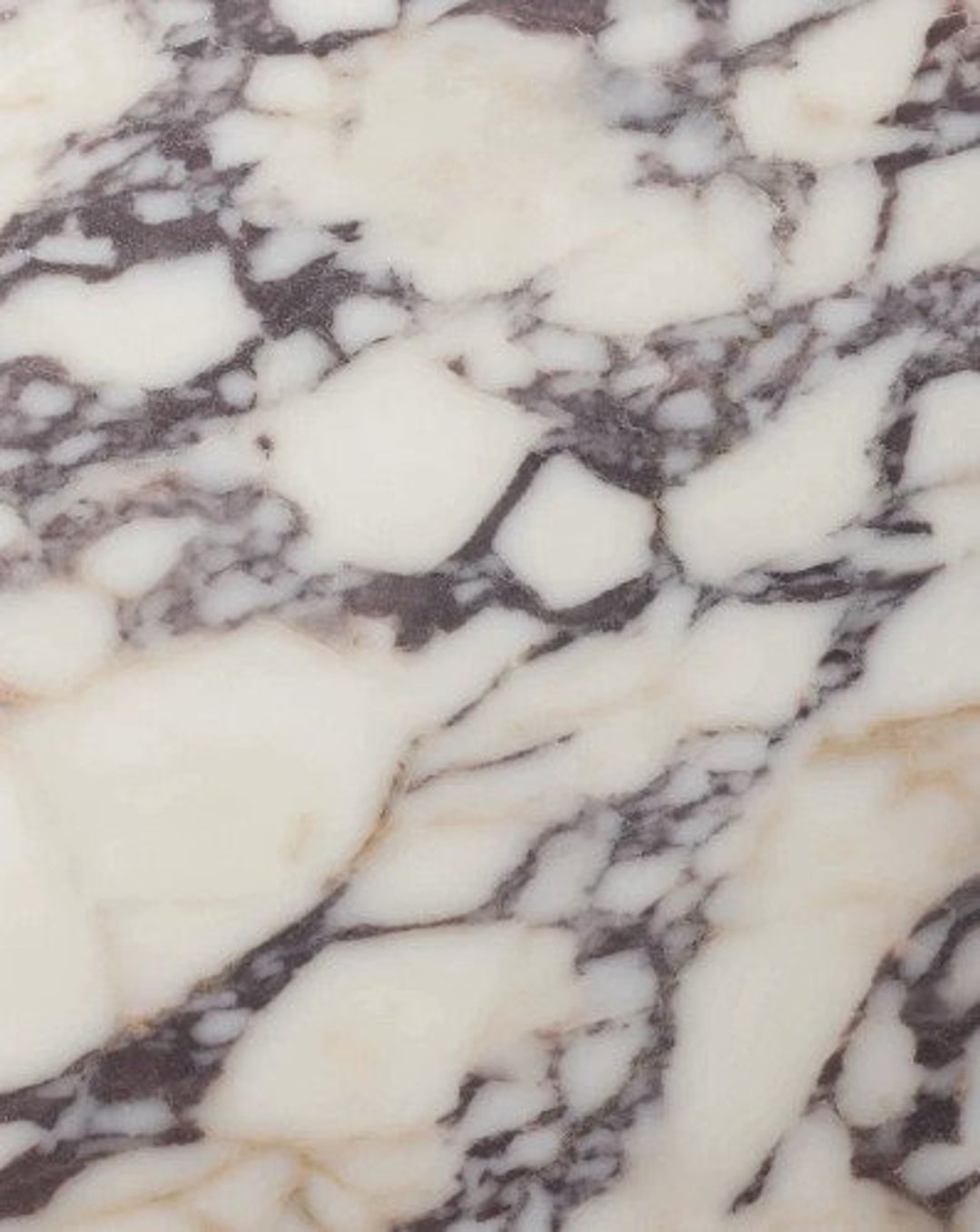 Calacatta Viola Stone Sample 10x10cm - Etsy