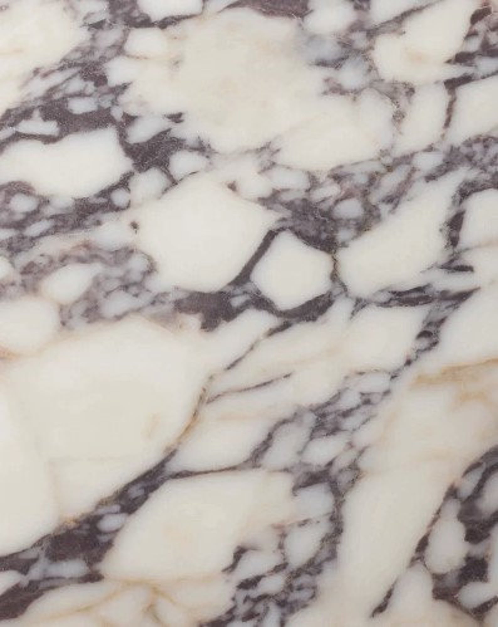 Calacatta Viola Stone Sample 10x10cm - Etsy