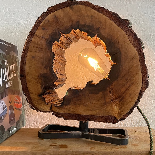 Birch Table Lamp - Etsy