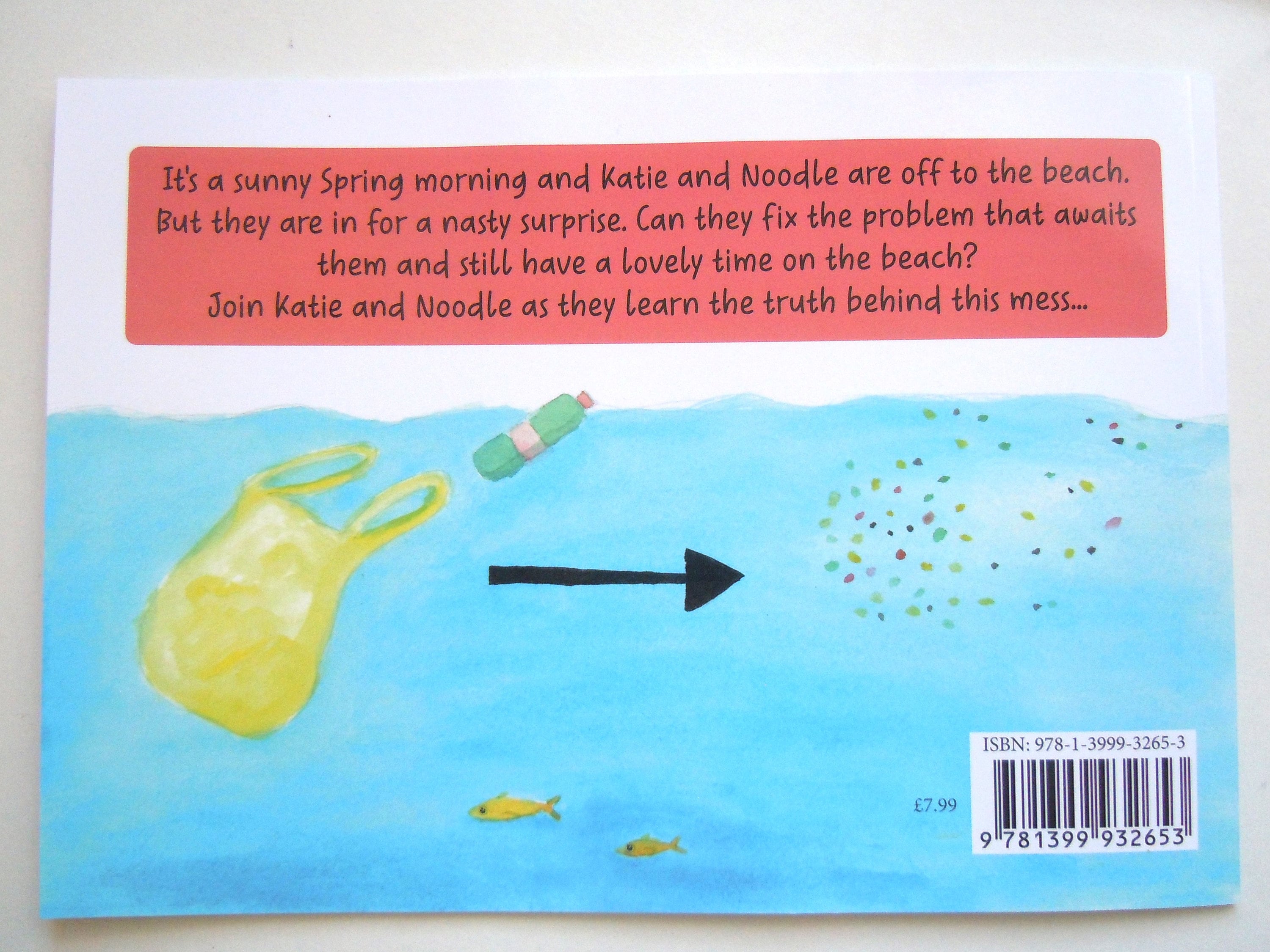 The Big Beach Clean children's Educational Storybook - Etsy Australia