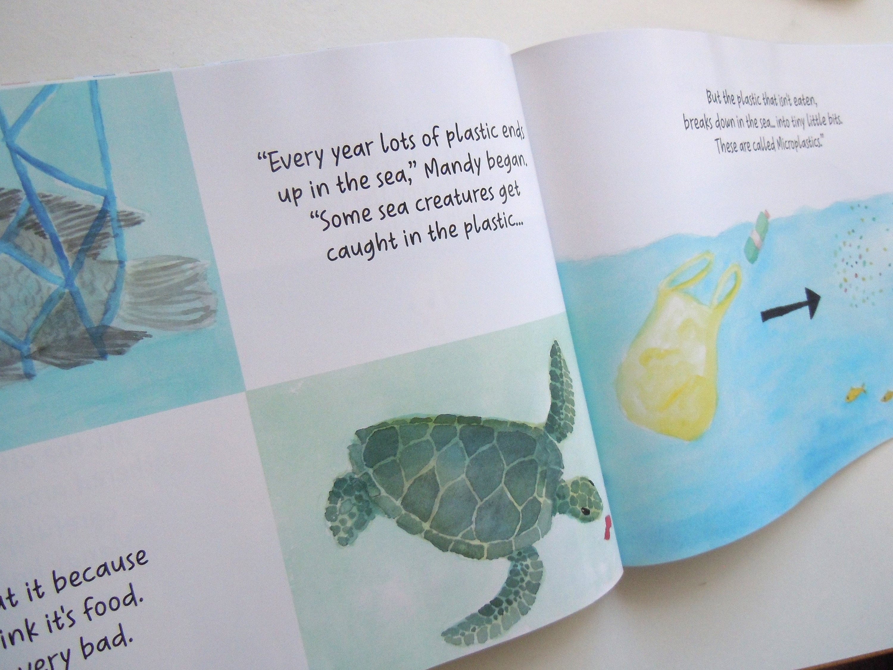 The Big Beach Clean children's Educational Storybook - Etsy Australia