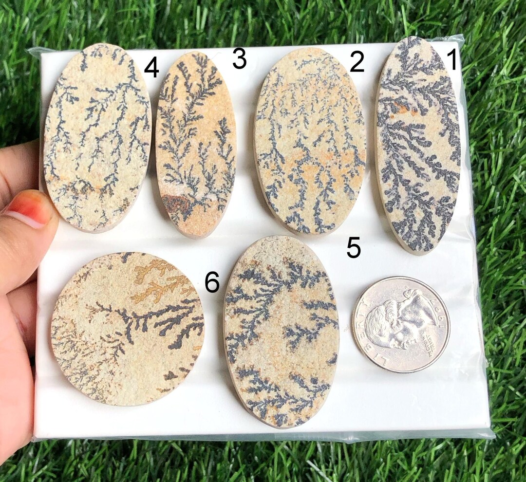 Dendrite Fossil Cabochon, Natural Semi Precious Gemstone for Jewelry ...