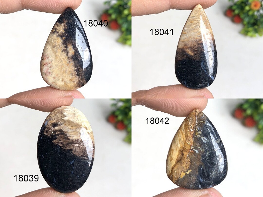 Palm Root Agate Gemstone Cabochon, Natural Semi Precious Gemstone for ...