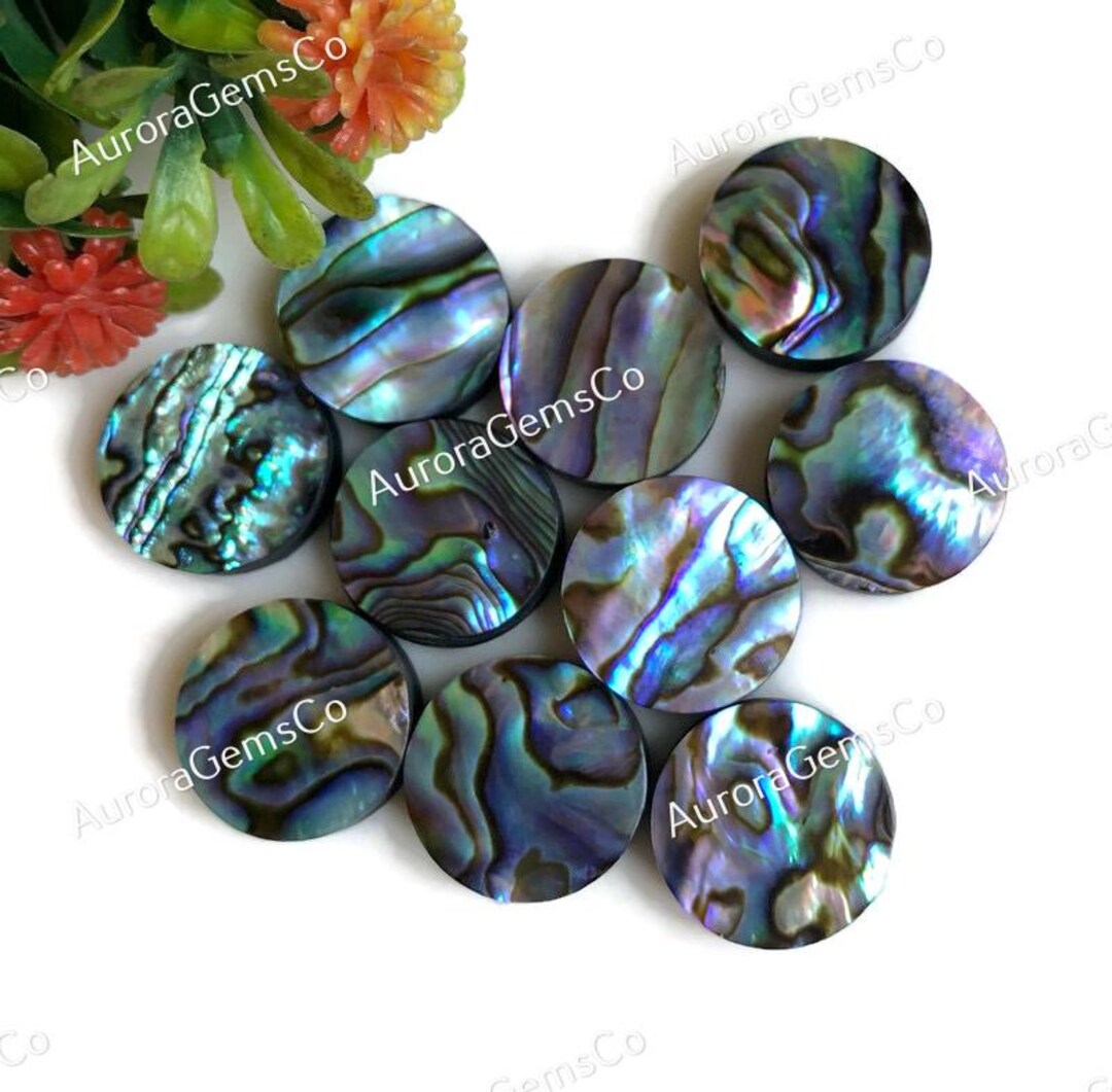 Abalone Shell Cabochons 15mm Round Shape Gemstone, Calibrated Abalone ...