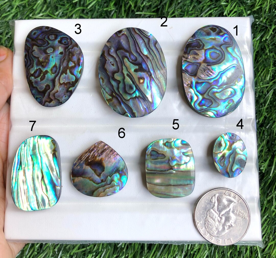 Abalone Shell Cabochon for Pendant, Abalone Shell Gemstone for ...