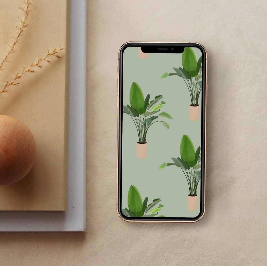 IPhone Wallpaper Download, Banana Leaf Wallpaper, Boho Phone Background ...