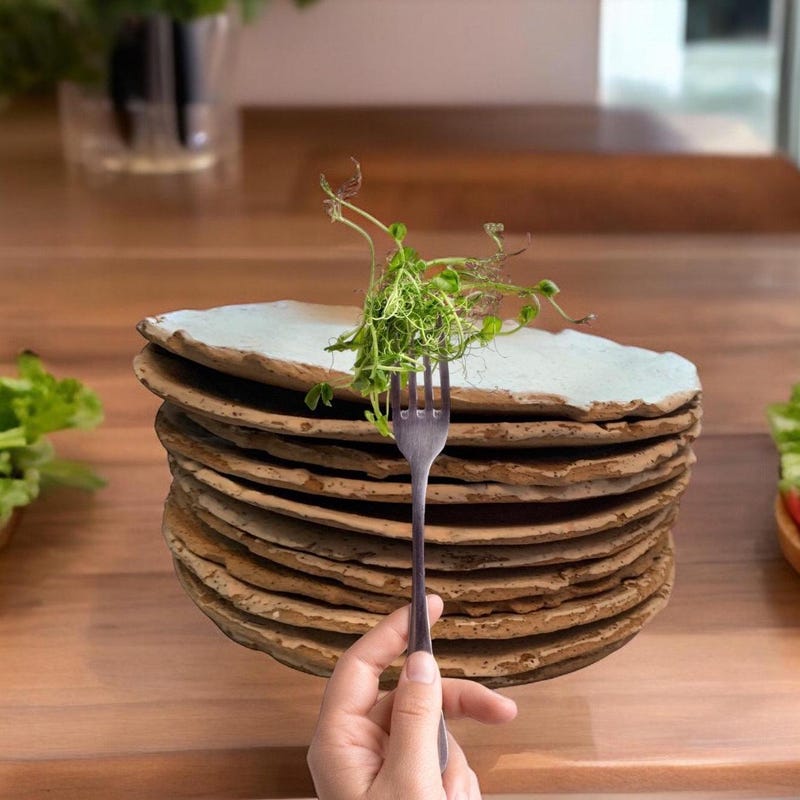 Organic Plates - Etsy