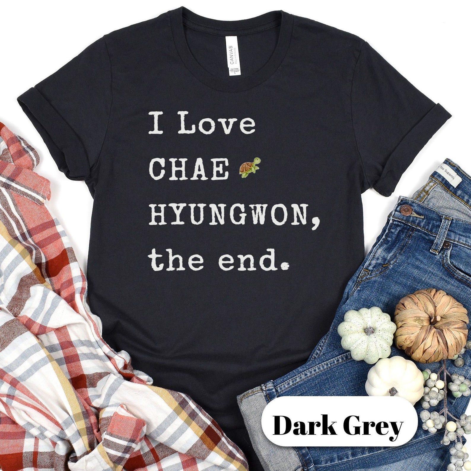 Chae Hyungwon Fan Inspired Shirt, Kpop Idol Turtle Tshirt, Hyungwon ...