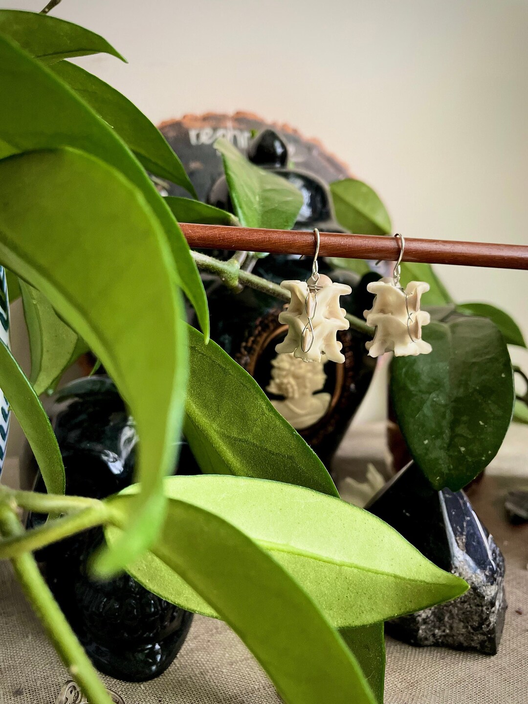 Python Vertebrae Column Double Stacked - Etsy