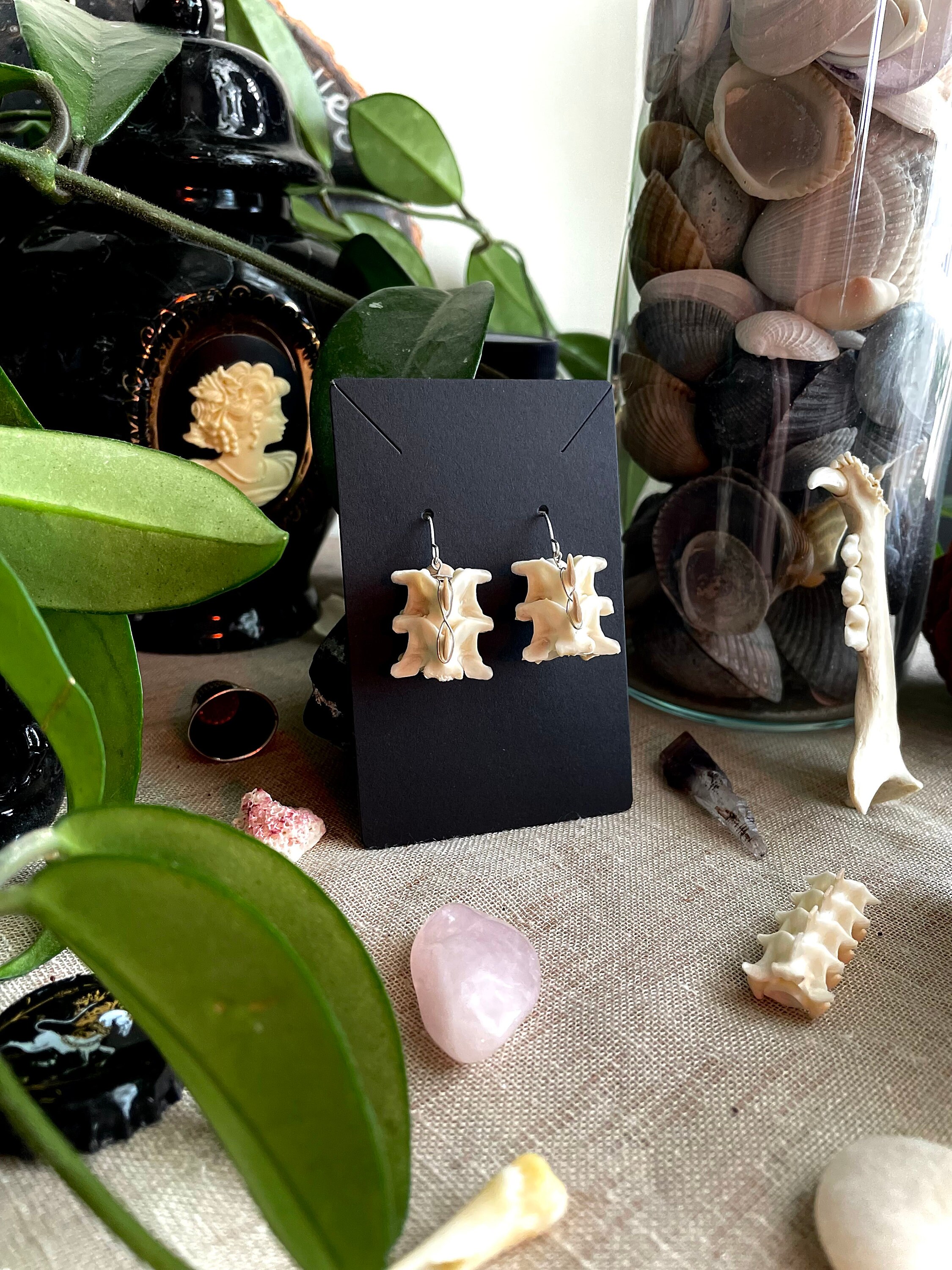 Python Vertebrae Column Double Stacked - Etsy