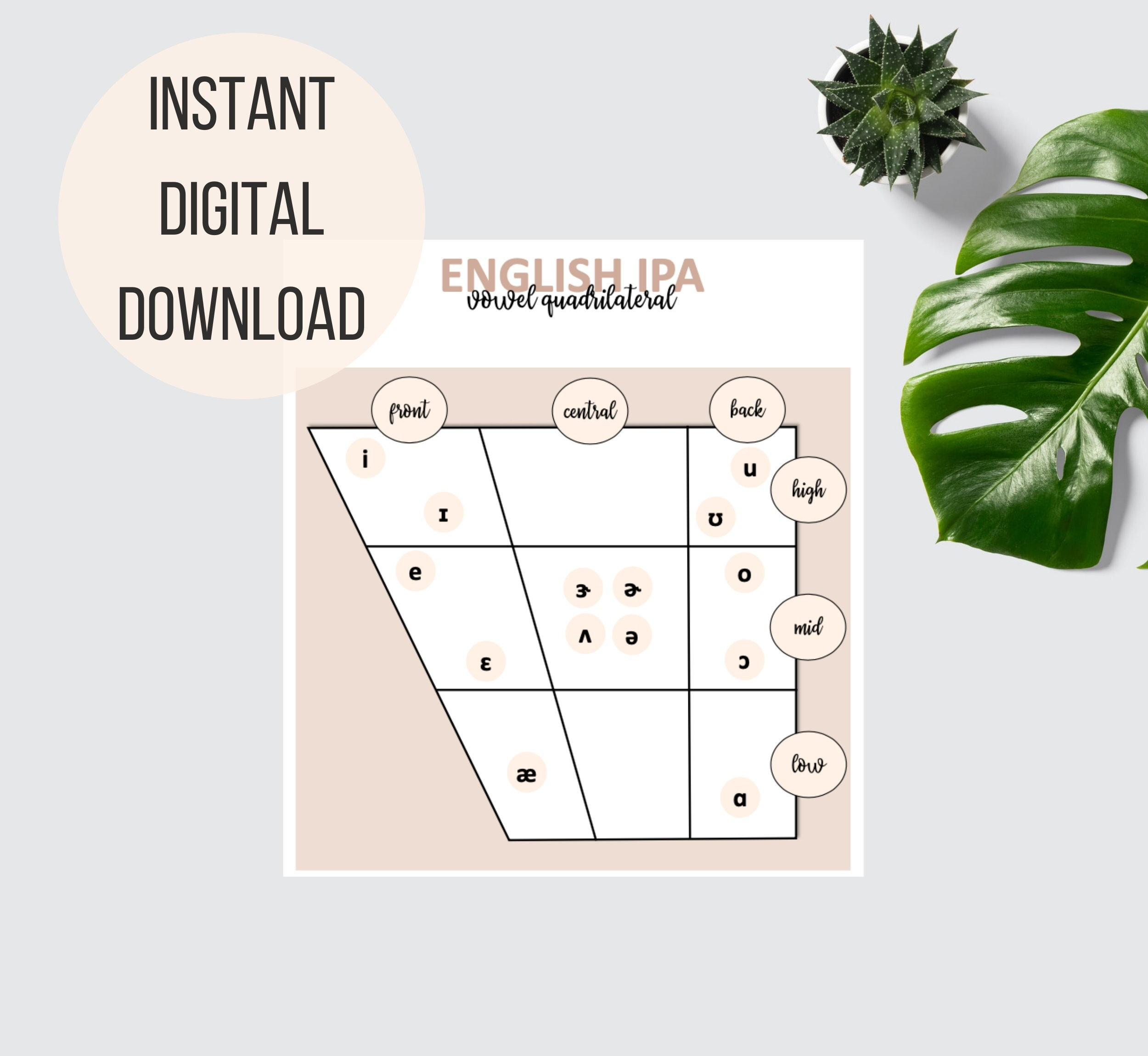 Speech Pathology English IPA Vowel Quadrilateral Study Sheet | SLP - Etsy