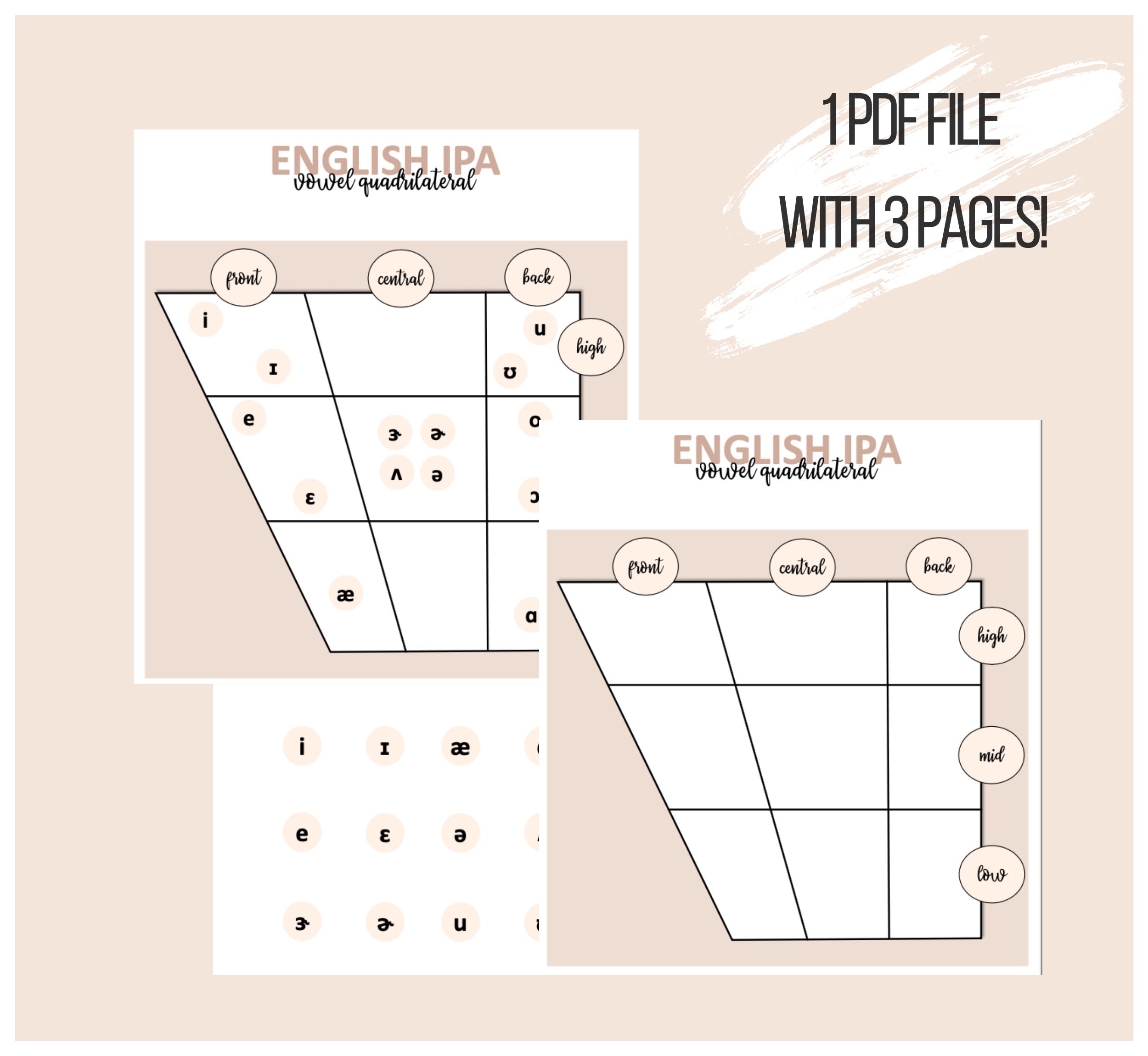 Speech Pathology English IPA Vowel Quadrilateral Study Sheet | SLP - Etsy