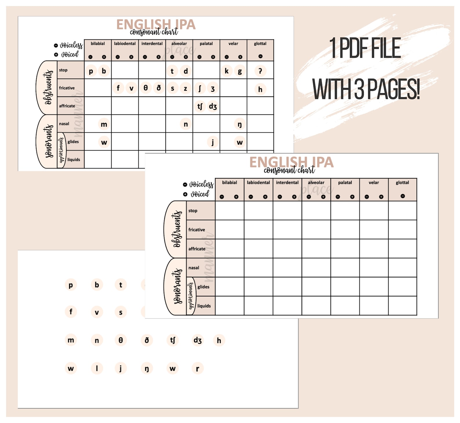 Speech Pathology English IPA Consonant Study Chart | SLP - Etsy