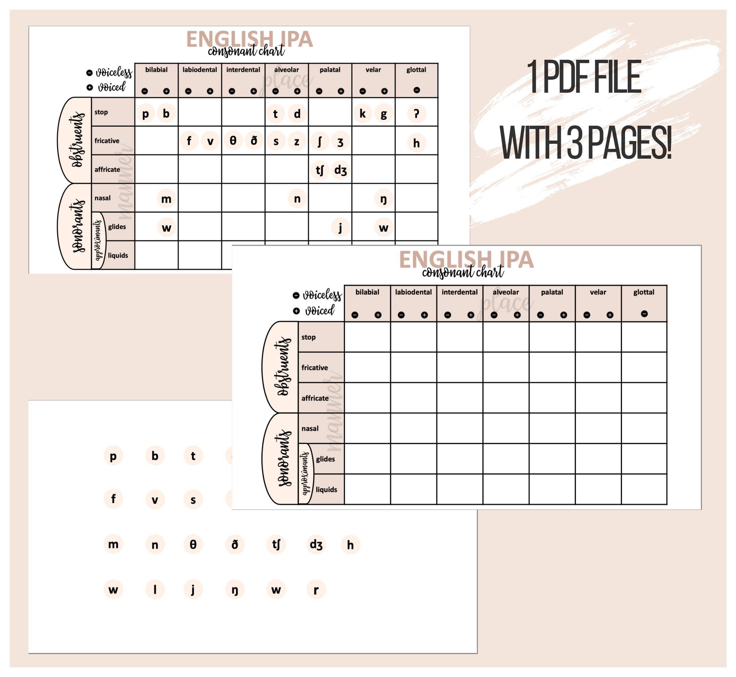 Speech Pathology English IPA Consonant Study Chart | SLP - Etsy