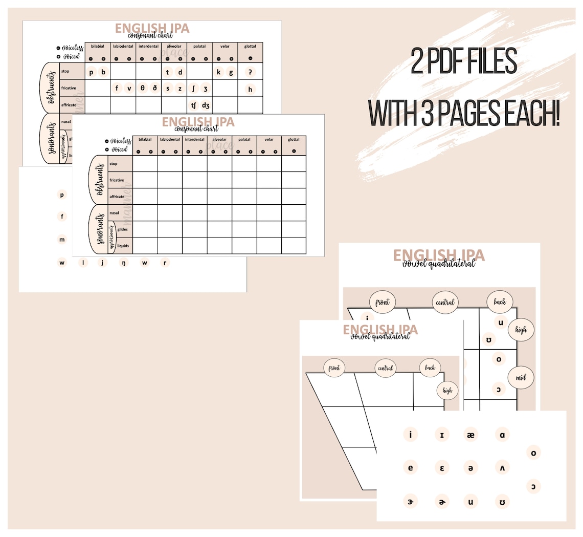 BUNDLE! English IPA Consonant Chart & Vowel Quadrilateral - Etsy