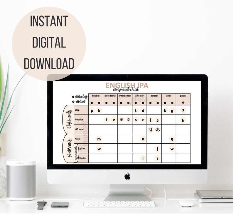 Speech Pathology English IPA Consonant Study Chart | SLP - Etsy