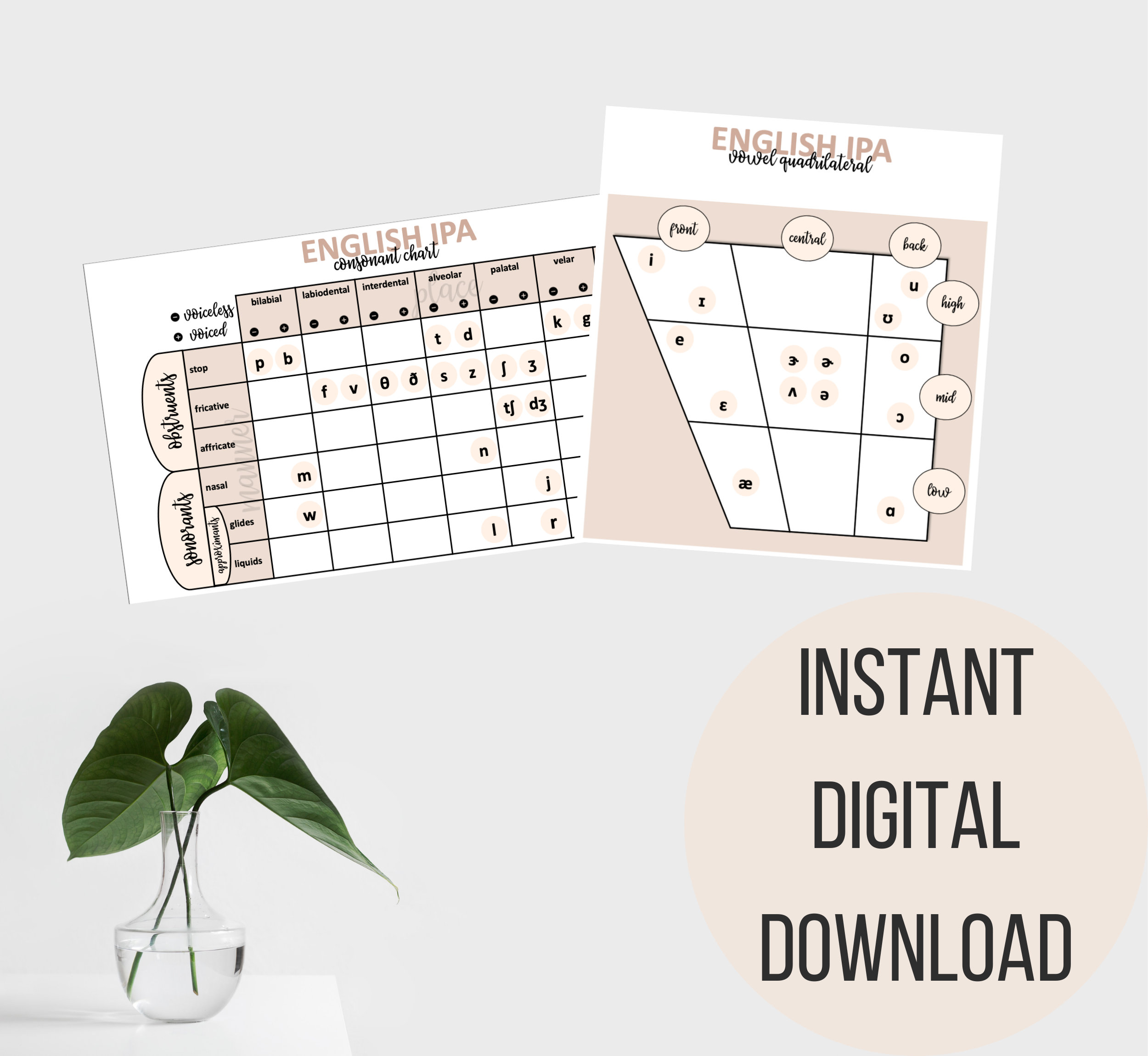 BUNDLE! English IPA Consonant Chart & Vowel Quadrilateral - Etsy