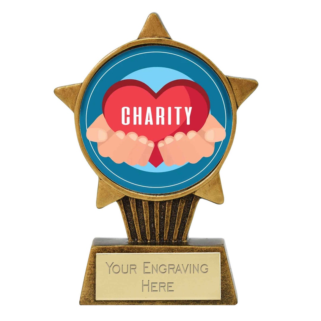 Gold Star Charity Fundraising Trophy Award 10cm (4") With Free ...