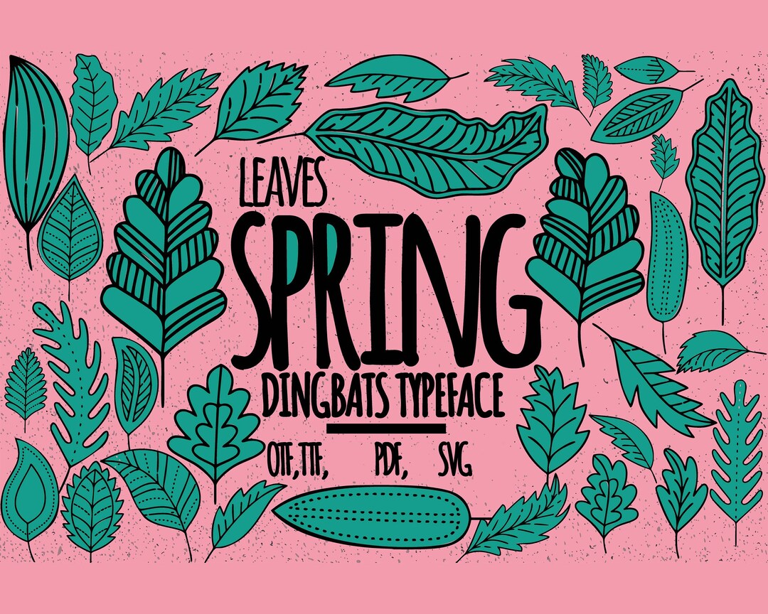 Leaves Doodles Dingbats Font: Spring, Fall Line Art (digital Download ...