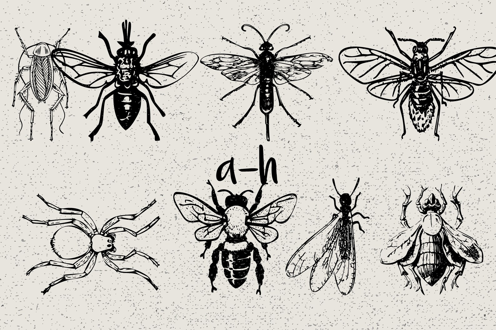 62 Unique Insects Doodles Vector Clipart Dingbats Font - Unique Insects ...