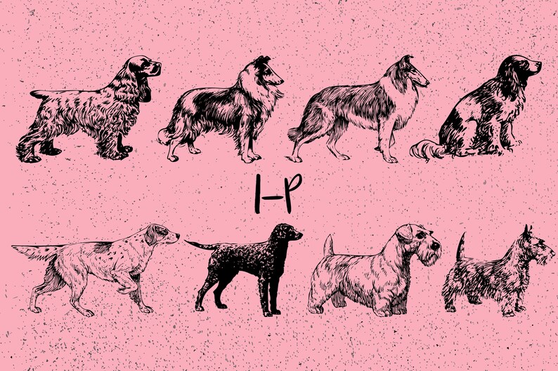 Dogs Cartoon Doodles Dingbats Font - Dogs Illustrations - Dogs Dingbats ...