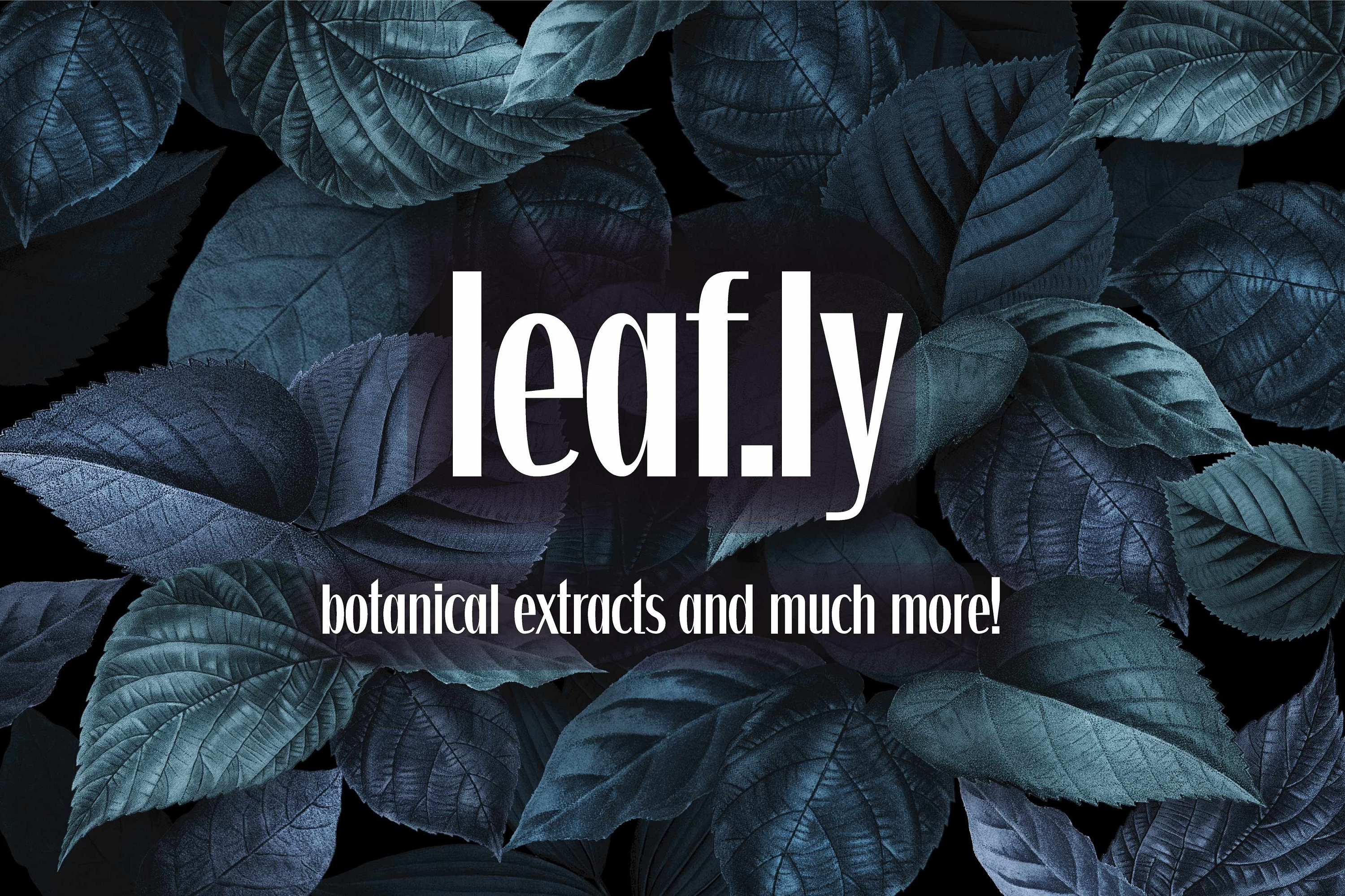 Swizzer Sans Serif Font - Minimalist Fonts - Commercial Use - Etsy