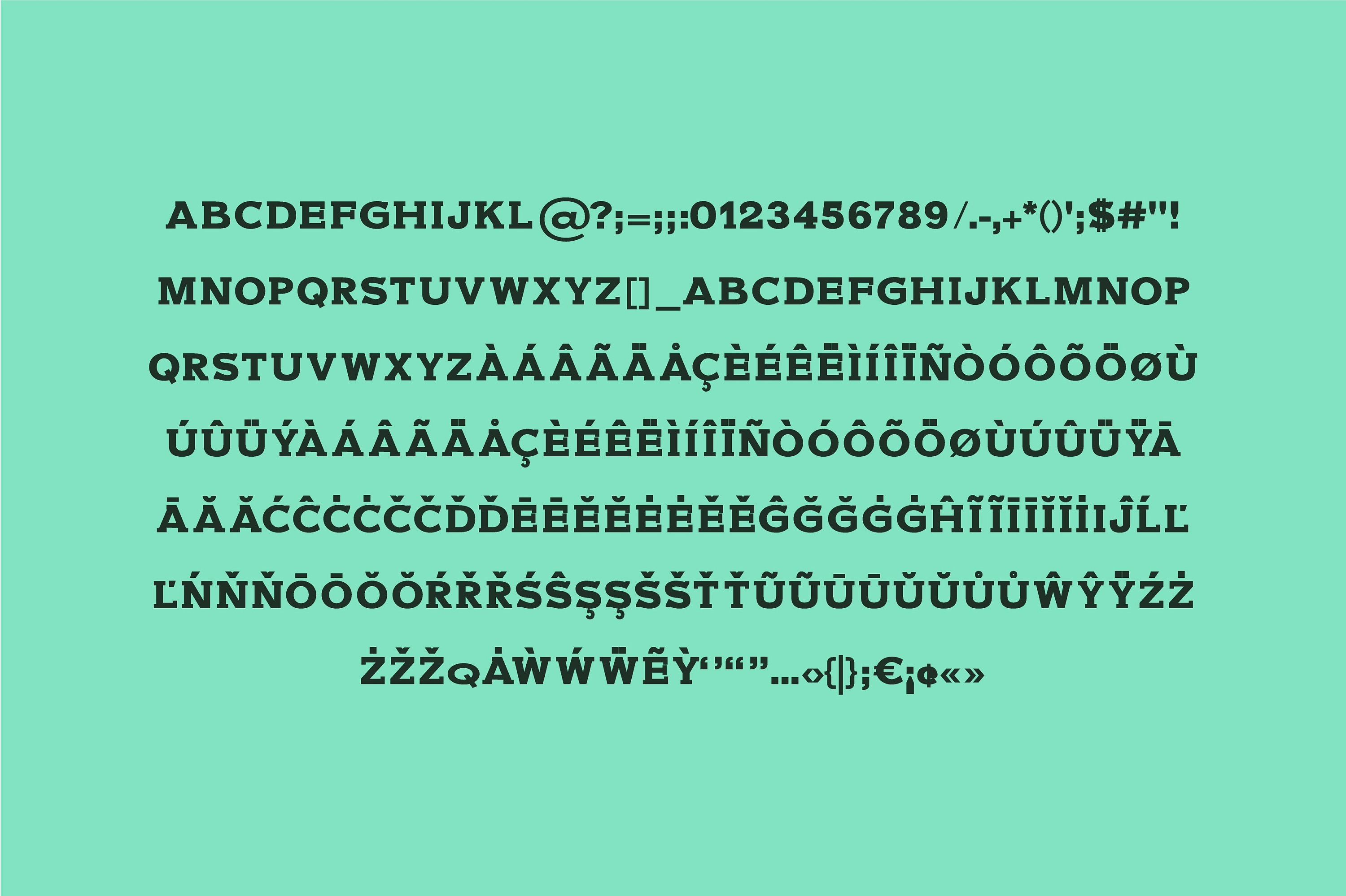 Rodin Slab Serif Font Slab Serif Fonts Thick Fonts Display Fonts ...