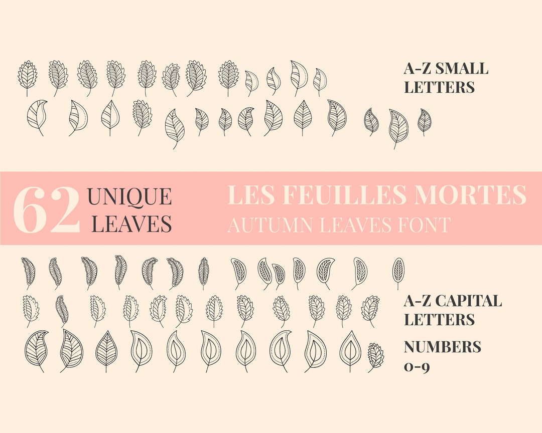 Autumn, Spring Leaves Dingbats Font - Etsy
