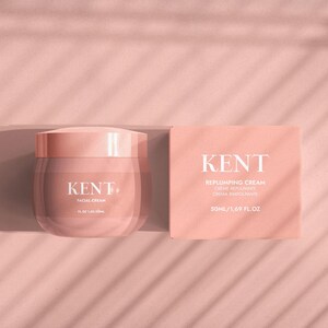 Kent - Elegant Serif Font - Chic Serif Fonts - Classic Font ...