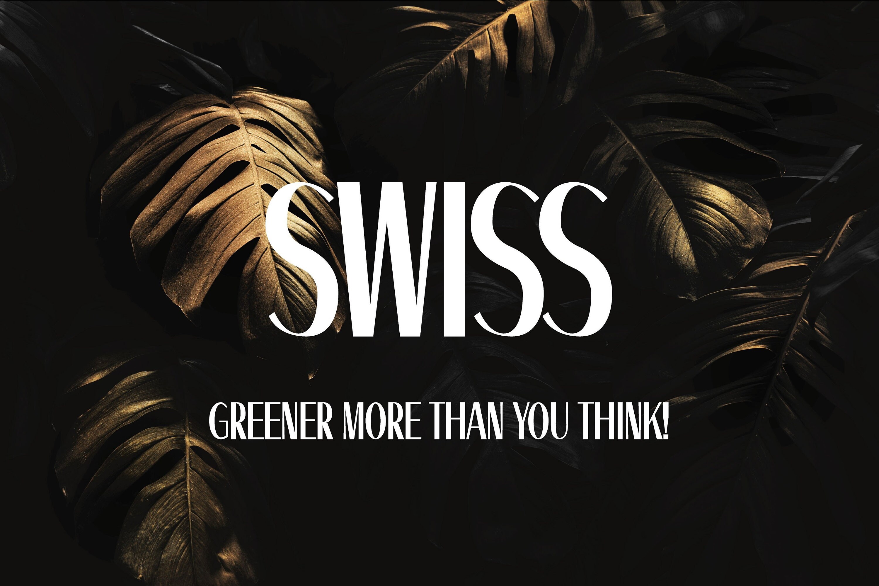 Swizzer Sans Serif Font - Minimalist Fonts - Commercial Use - Etsy