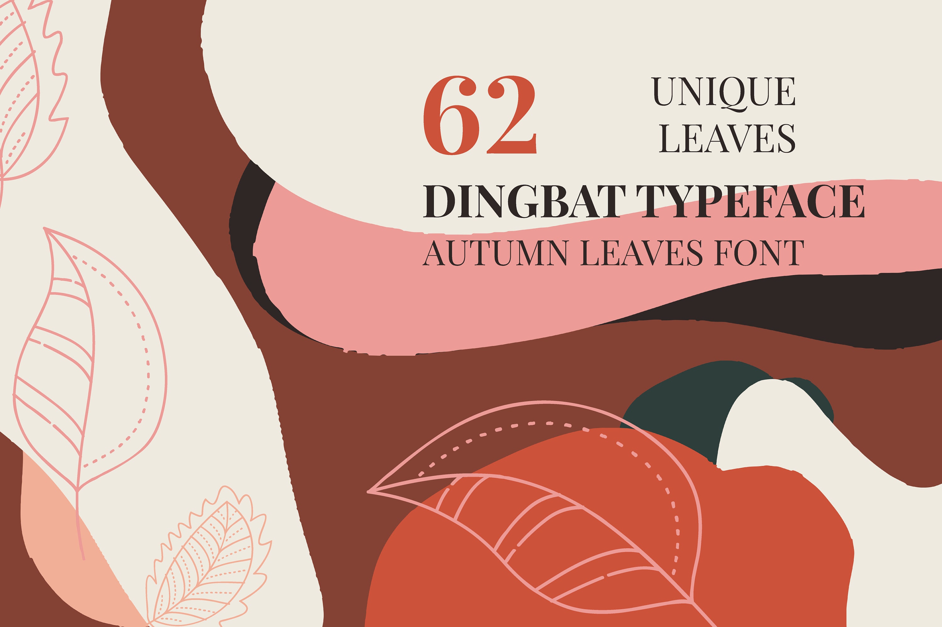 Autumn, Spring Leaves Dingbats Font - Etsy