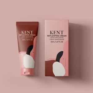 Kent - Elegant Serif Font - Chic Serif Fonts - Classic Font ...