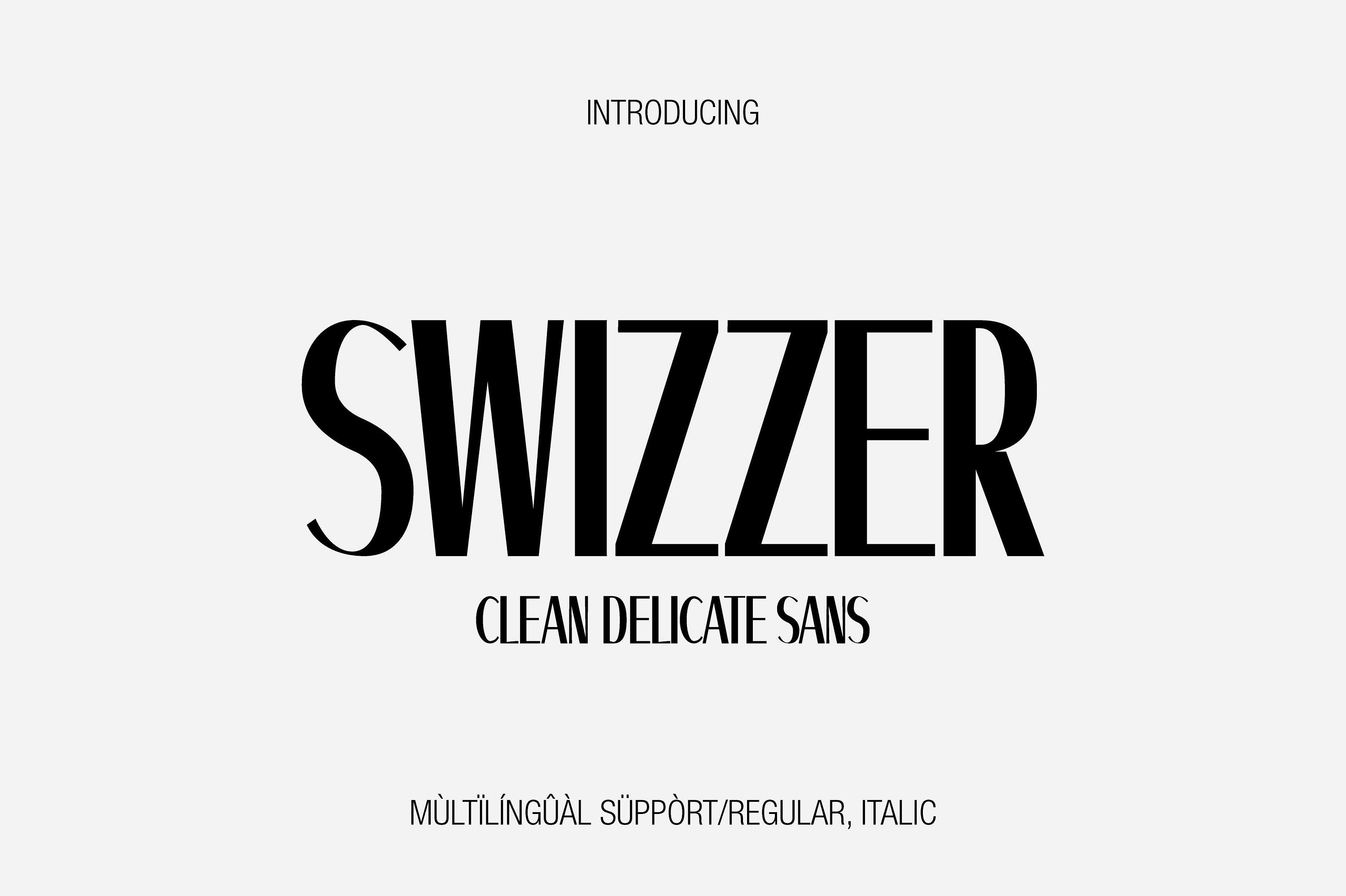 Swizzer Sans Serif Font - Minimalist Fonts - Commercial Use - Etsy