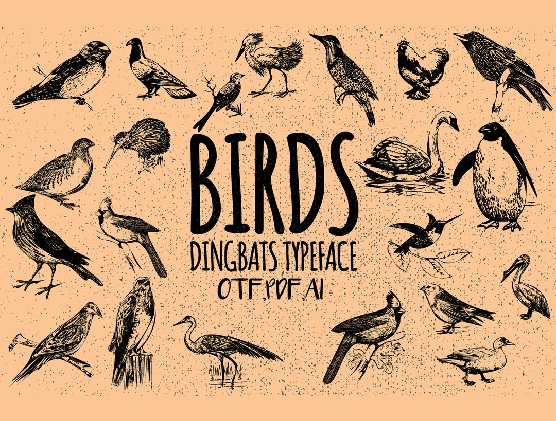 Birds Doodles Vector Clipart Dingbats Font: Commercial Use - Etsy