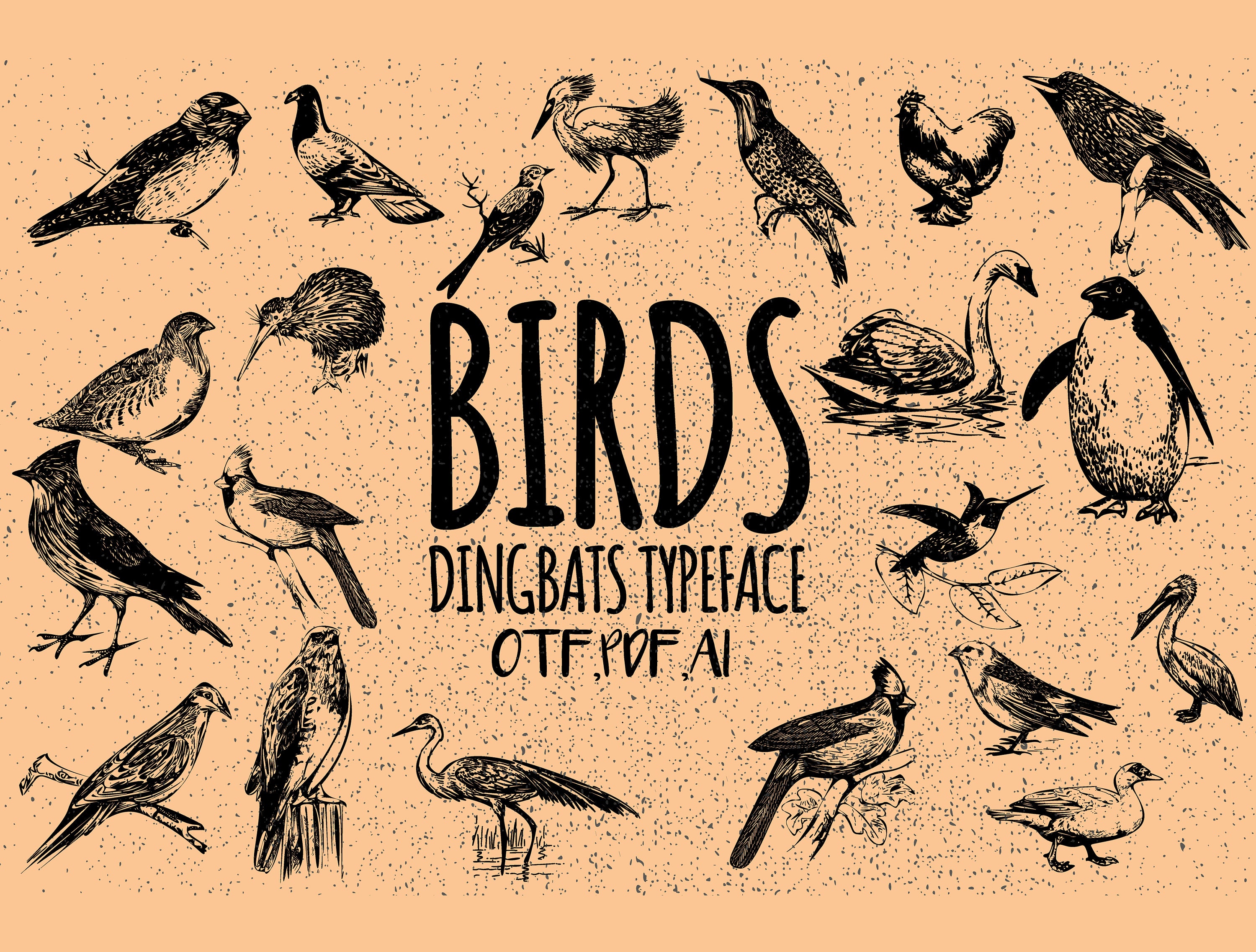 Birds Doodles Vector Clipart Dingbats Font: Commercial Use - Etsy