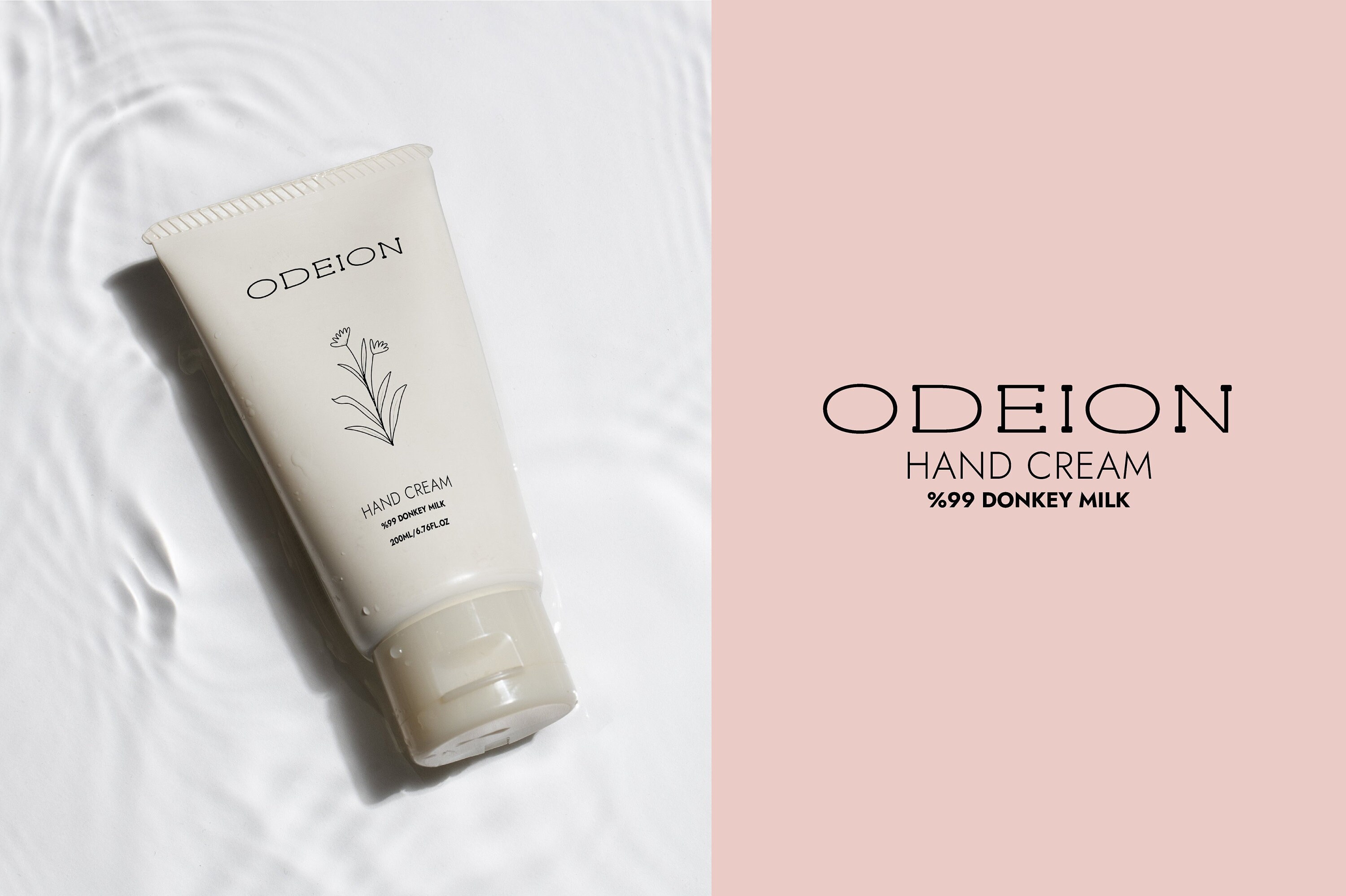 Odeion Font: Minimalist Slab Serif Typeface - Commercial Use - Etsy