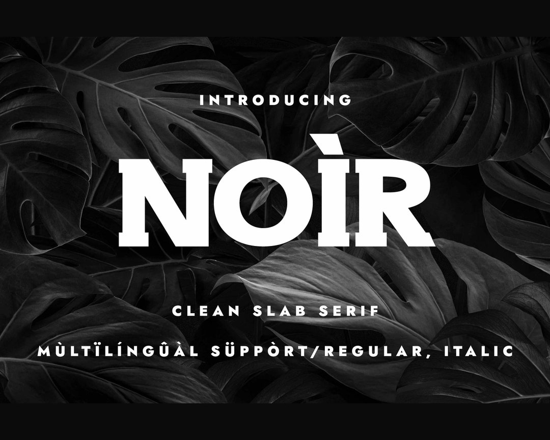 Noir Font Thick Slab Serif Typeface Slab Serif Fonts Elegant Fonts ...