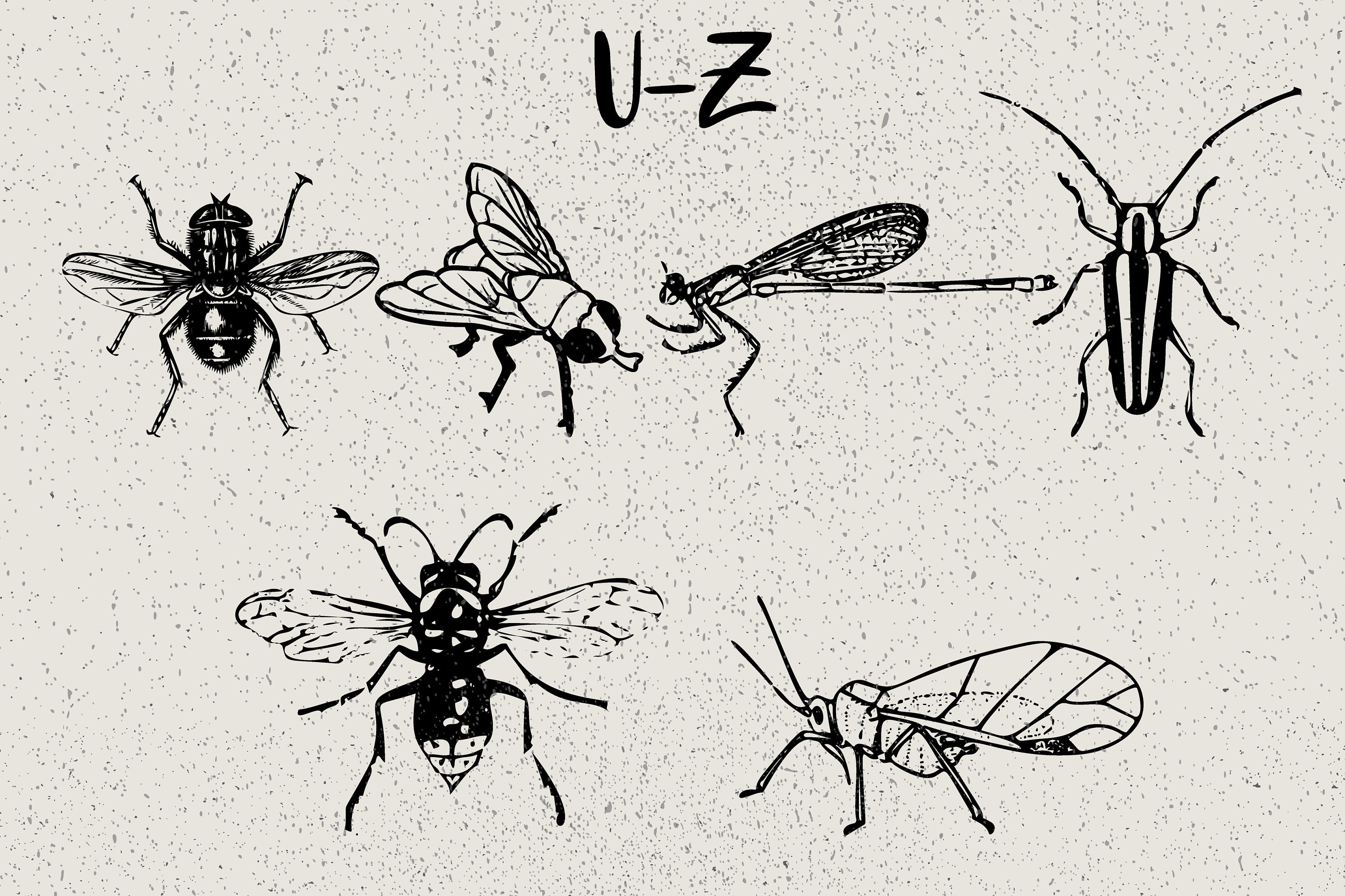 62 Unique Insects Doodles Vector Clipart Dingbats Font Unique Insects ...