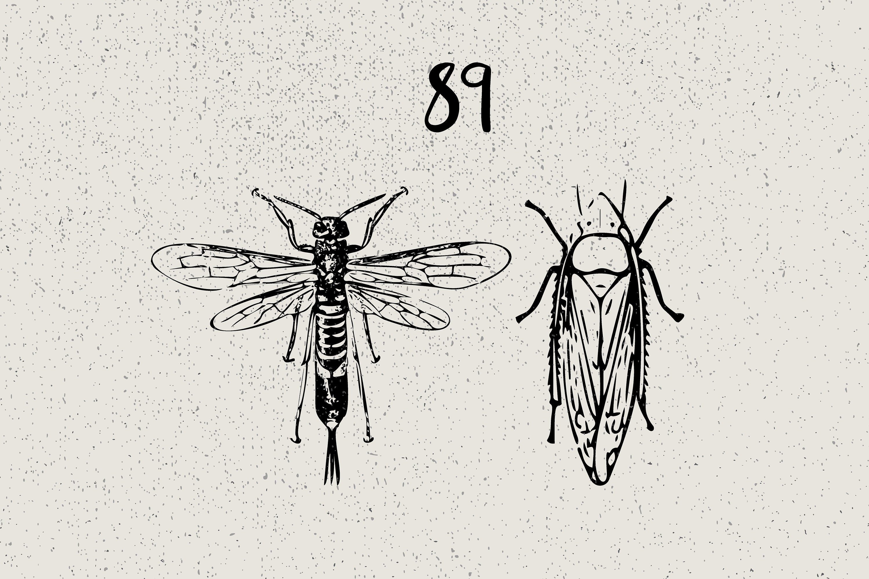 62 Unique Insects Doodles Vector Clipart Dingbats Font - Unique Insects ...