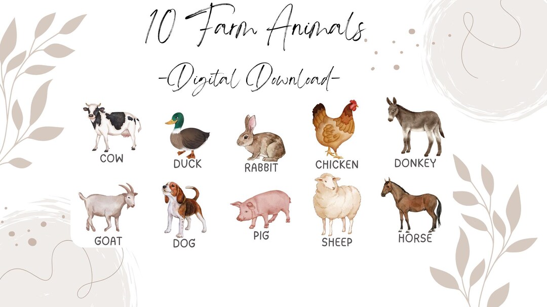 10 Farm Animal Flashcard, Digital Download, Montessori Flash Cards ...