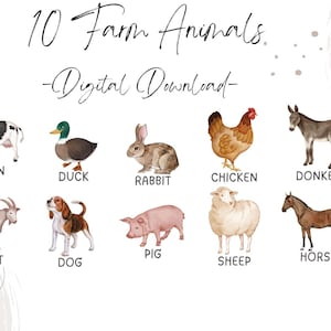 10 Farm Animal Flashcard, Digital Download, Montessori Flash Cards ...