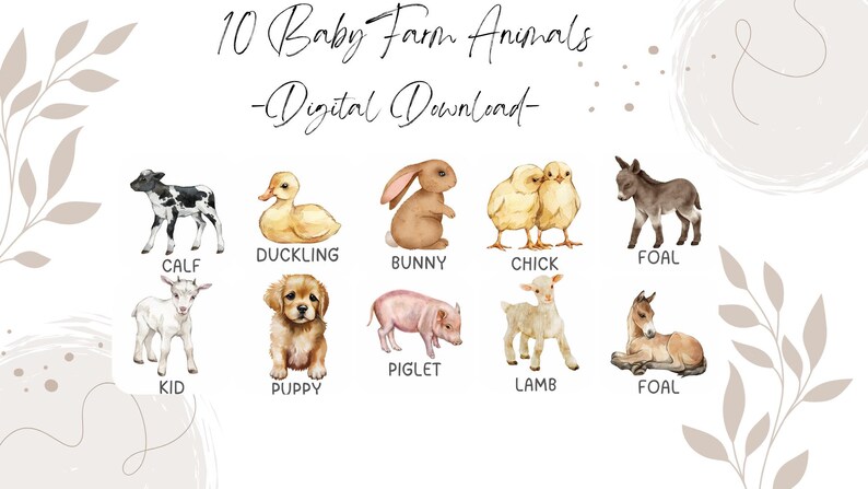 10 Baby Farm Animal Flashcards, Digital Download, Montessori Flash ...
